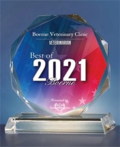 Boerne Veterinarian - Boerne Veterinary Clinic - Dr. Steven Rapp