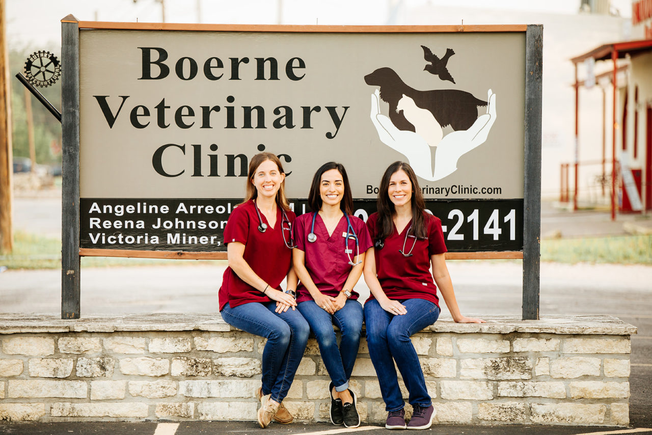 Boerne Veterinarian - Boerne Veterinary Clinic - Dr. Steven Rapp