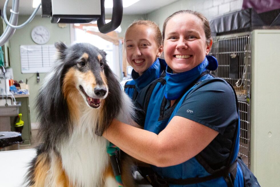 Boerne Veterinarian - Boerne Veterinary Clinic - Dr. Steven Rapp